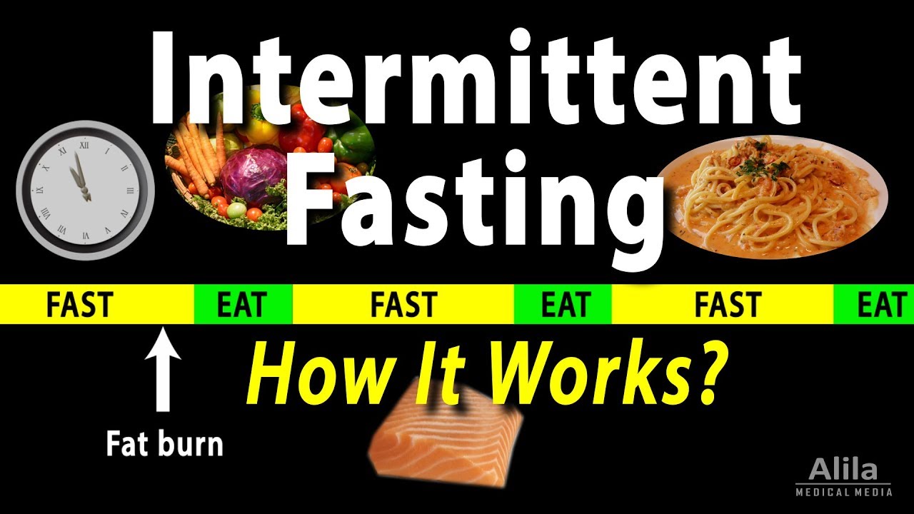 Intermittent Fasting - How it Works? Animation - VitaminSearch